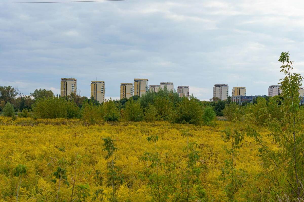 Sadyba, Augustówka – mieszkania. Dlaczego warto zamieszkać w tej ...
