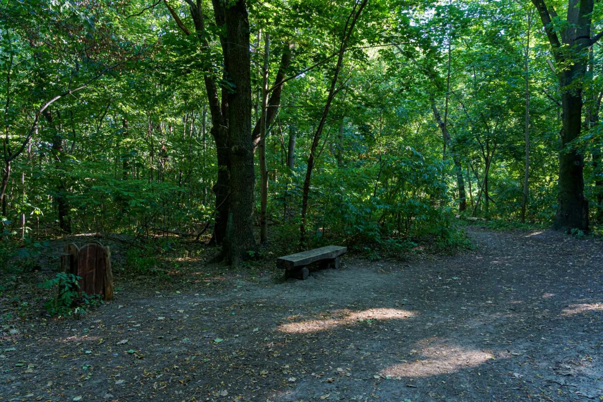 Fort Bema – mieszkania. Dlaczego warto zamieszkać w tej lokalizacji ...