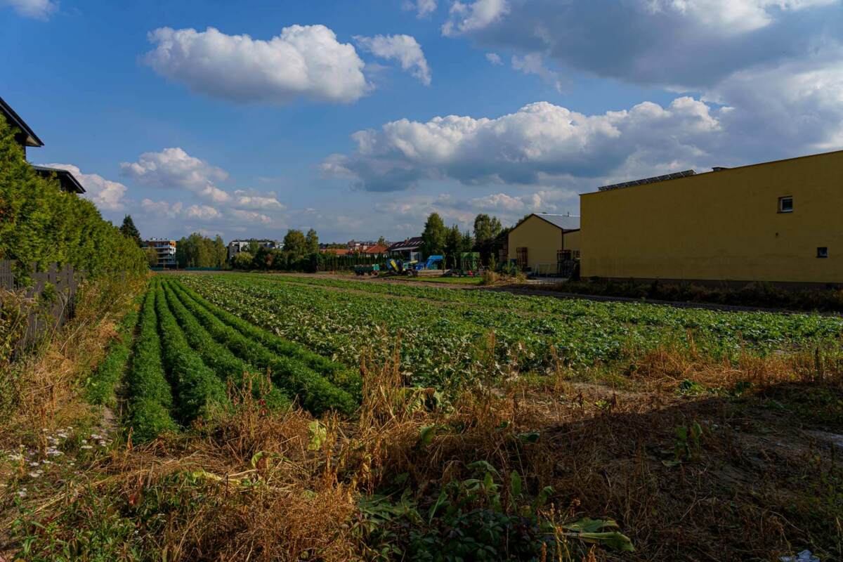Stary Imielin – mieszkania. Dlaczego warto zamieszkać w tej lokalizacji ...